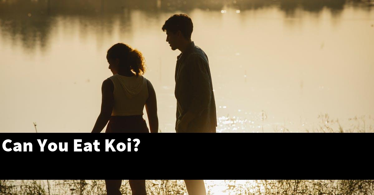 Can You Eat Koi? [2026 Guide] - Gold Koi Fish